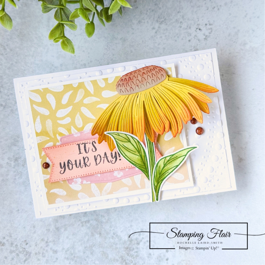 It's Your Day - Layered Coneflower Celebrations Card - Stamping Flair